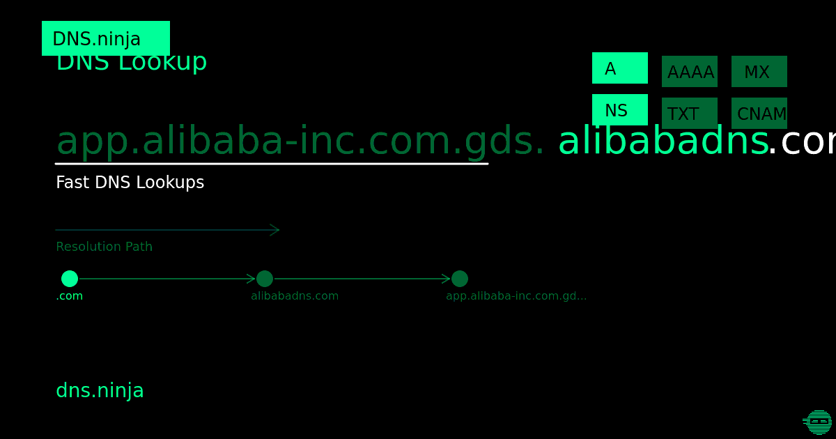 app.alibaba-inc.com.gds.alibabadns.com - dns.ninja