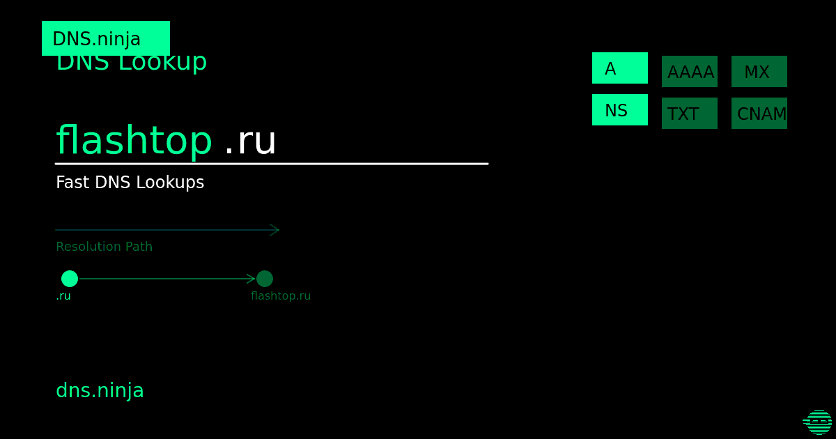 flashtop.ru - DNS Lookup