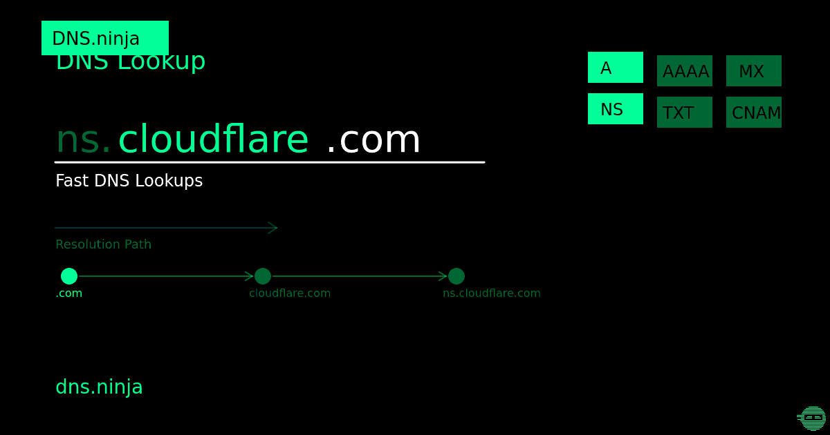 ns.cloudflare.com - dns.ninja