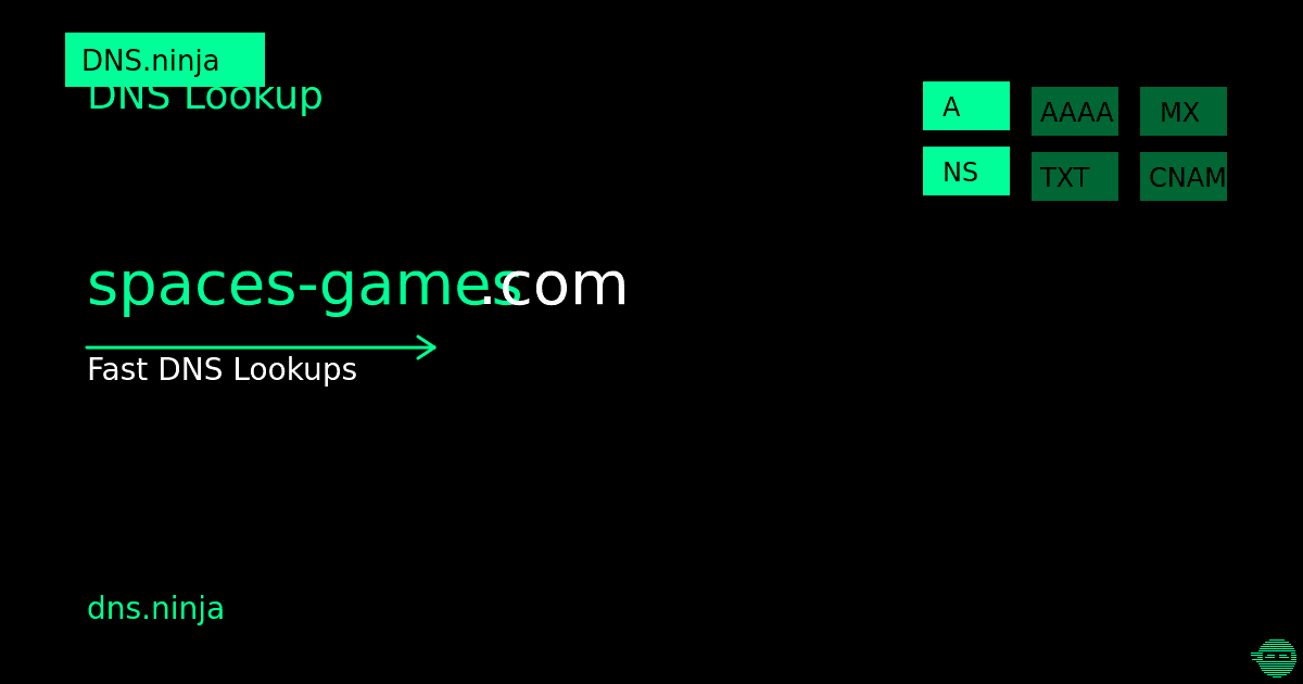 spaces-games.com - dns.ninja