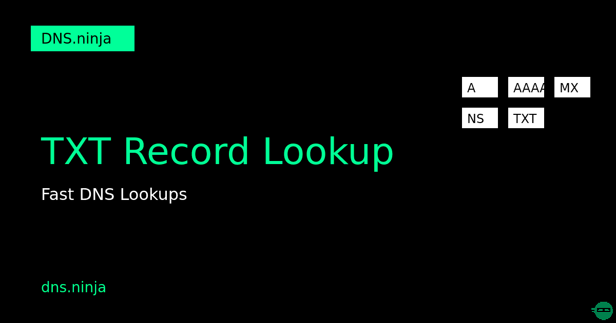 TXT Lookup - SPF, DKIM & Domain Verification Records